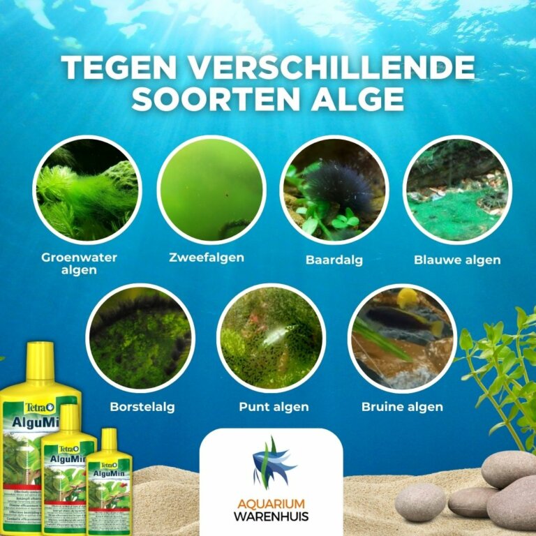 ANTI ALGEN ALGENBESTRIJDING TETRA ALGUMIN | Aquariumwarenhuis